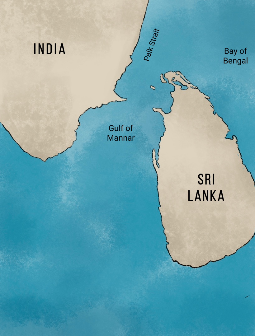 Gulf Of Mannar Gulf Of Mannar